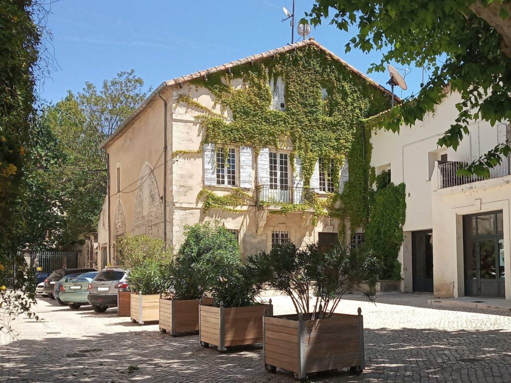 N°1 Guide Tarascon (2h) - Le meilleur du Sud