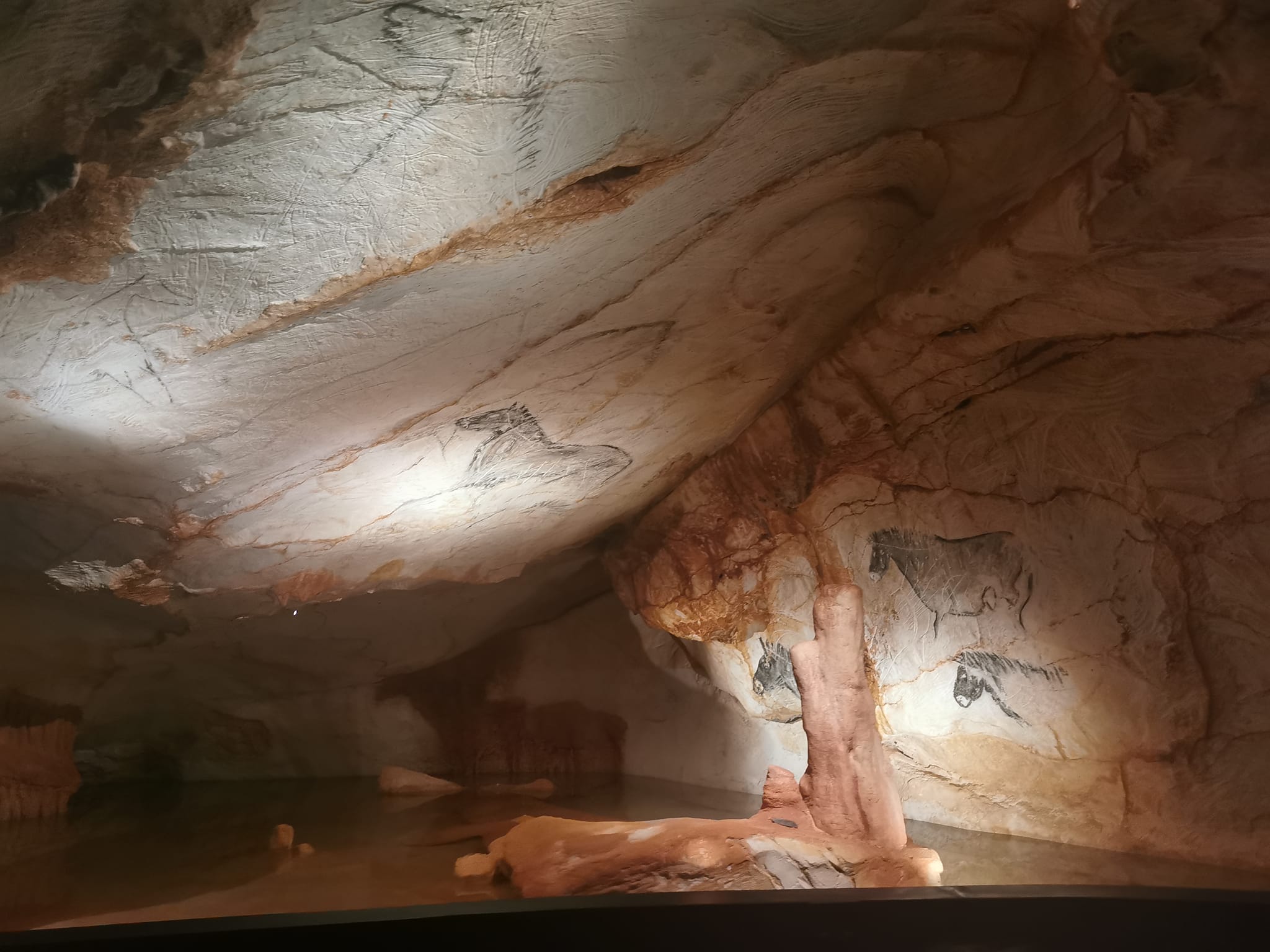 A visiter : Grotte Cosquer Marseille - Guide Sud Provence